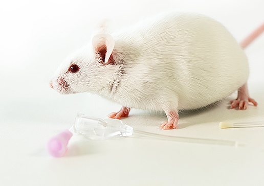 Be Nice | Instech Laboratories