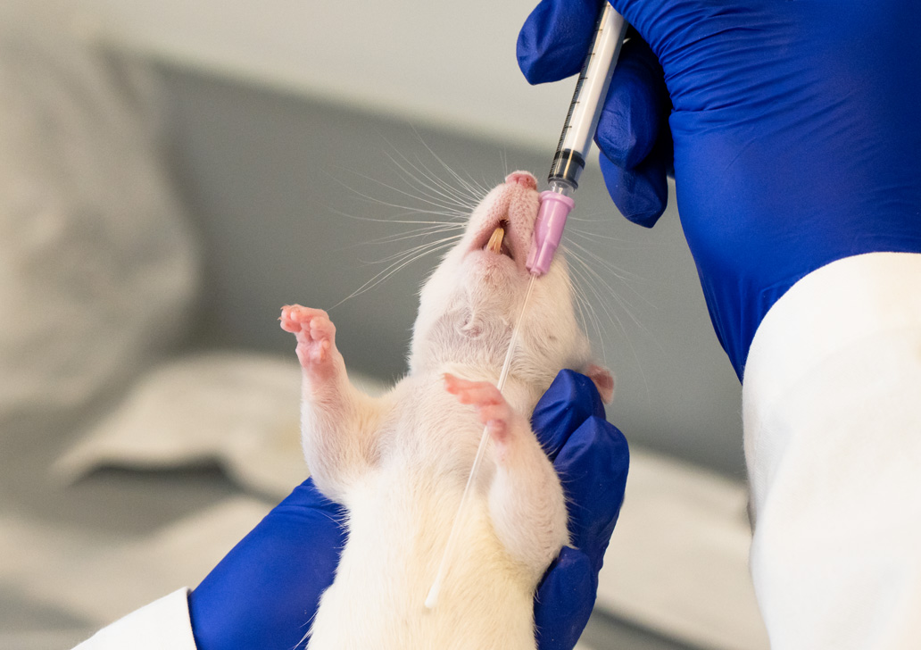 Training & Education | Instech Laboratories, Inc.