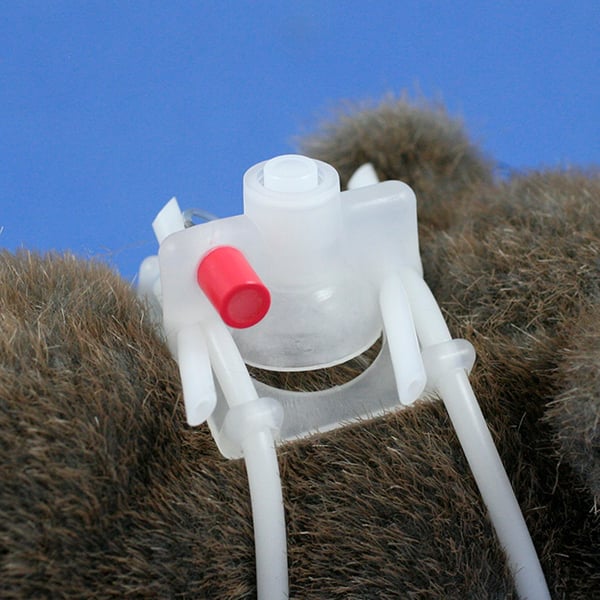 Rat Vascular Access Harnesses™ Will Now Use PinPorts™