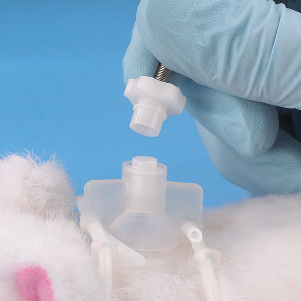 Rat Vascular Access Harnesses™ Will Now Use PinPorts™