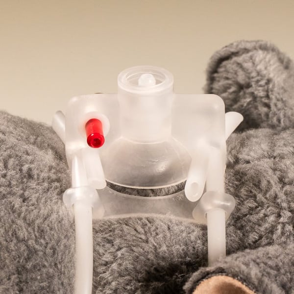 Rat Vascular Access Harnesses™ Will Now Use PinPorts™