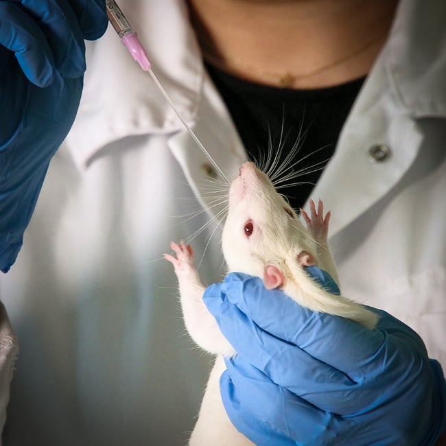 RDP | Rodent Dose Puller | Instech Laboratories