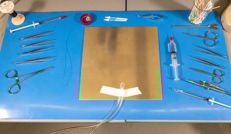 Guide to Surgical Instruments for Rodent Catheterization