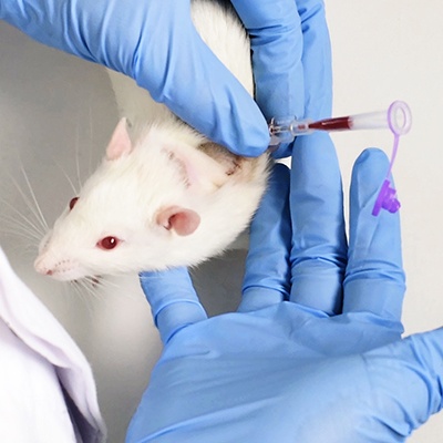 Instech and Sarstedt Collaborate to Refine Rodent Blood Sampling