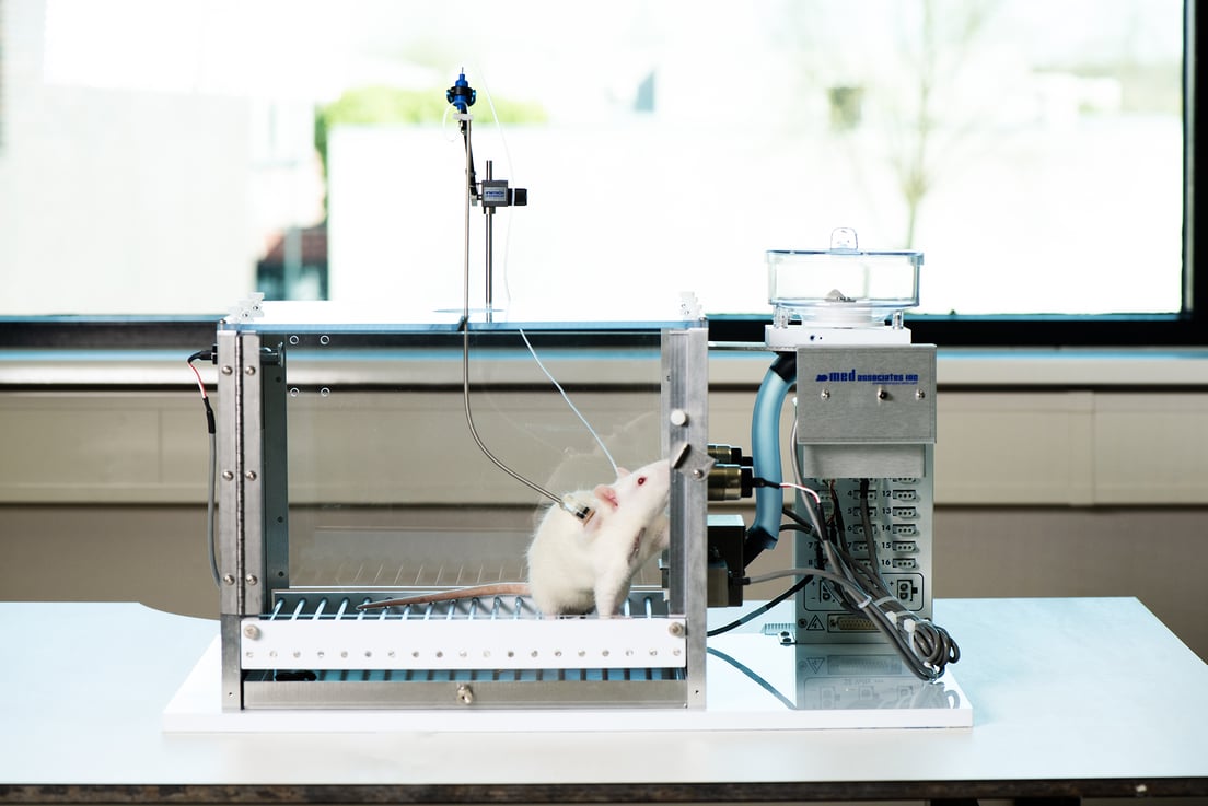 Equipment for Rat and Mouse IV Self-Administration with a Focus on ...