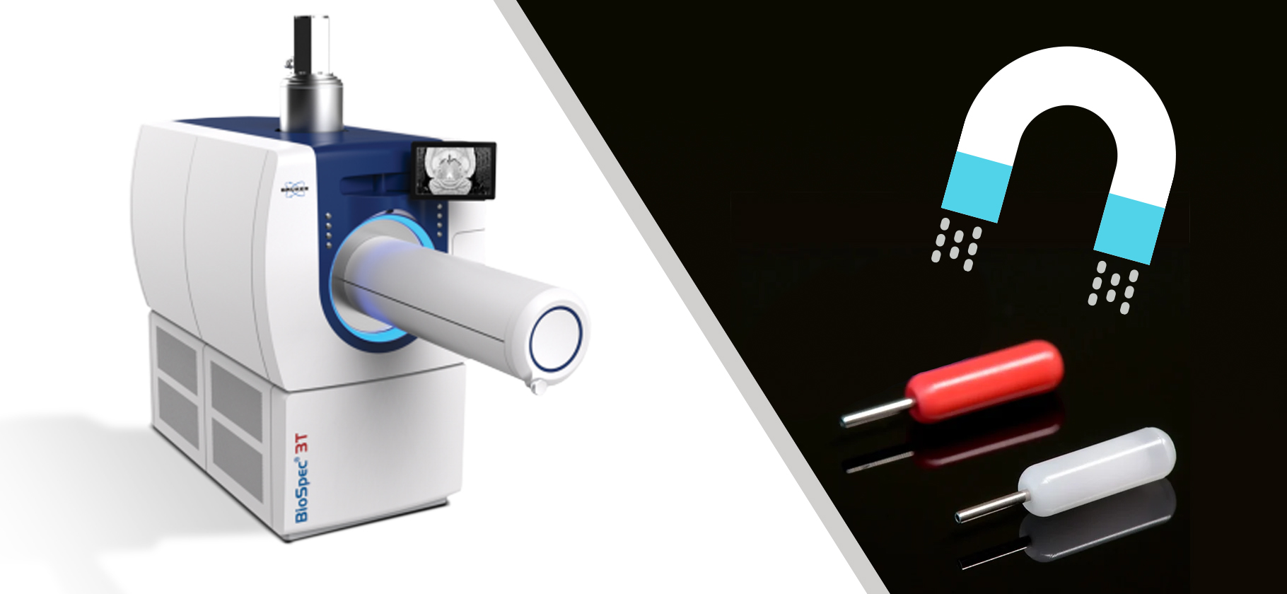 MRI-Compatible Rodent Vascular Access