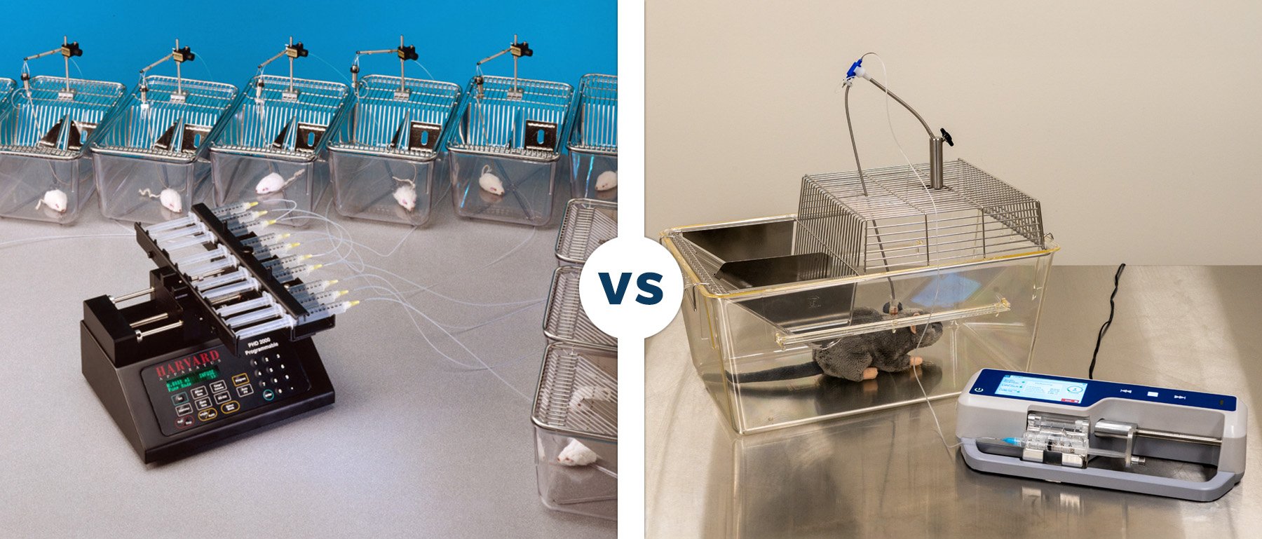 Is it OK to Infuse Several Animals at Once with a Multi-syringe Pump?