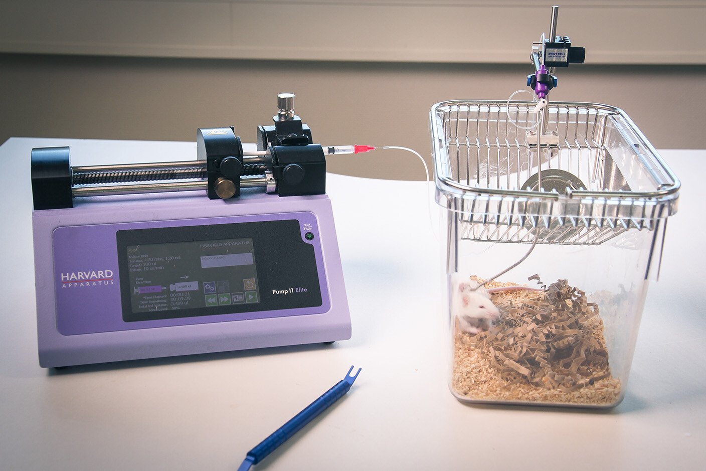 Flow Rate Limits of Rodent Infusion Sets