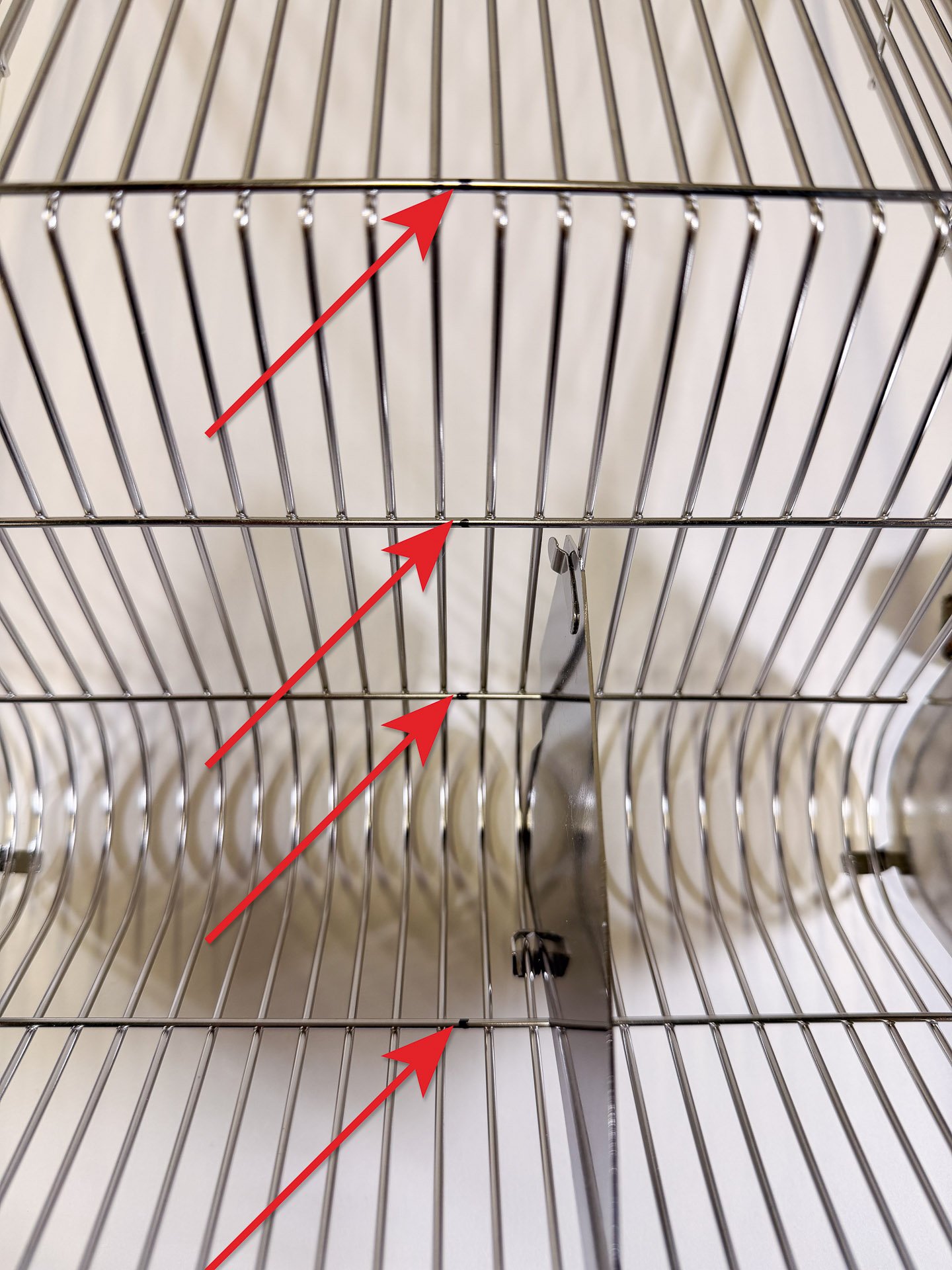 How to Make a Rat Infusion Cage