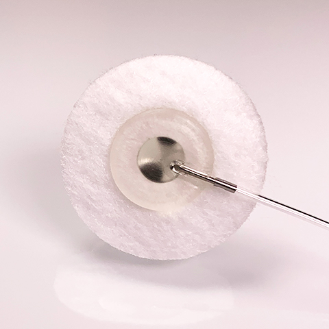 What Does It Take to Disconnect a Rodent Catheter?