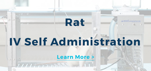Equipment for Rat and Mouse IV Self-Administration with a Focus on ...