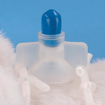 Equipment for Rat and Mouse IV Self-Administration with a Focus on ...