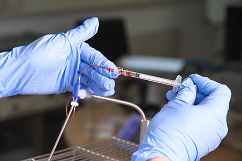 Rat Blood Sampling Outside the Cage Video | Instech Laboratories, Inc.