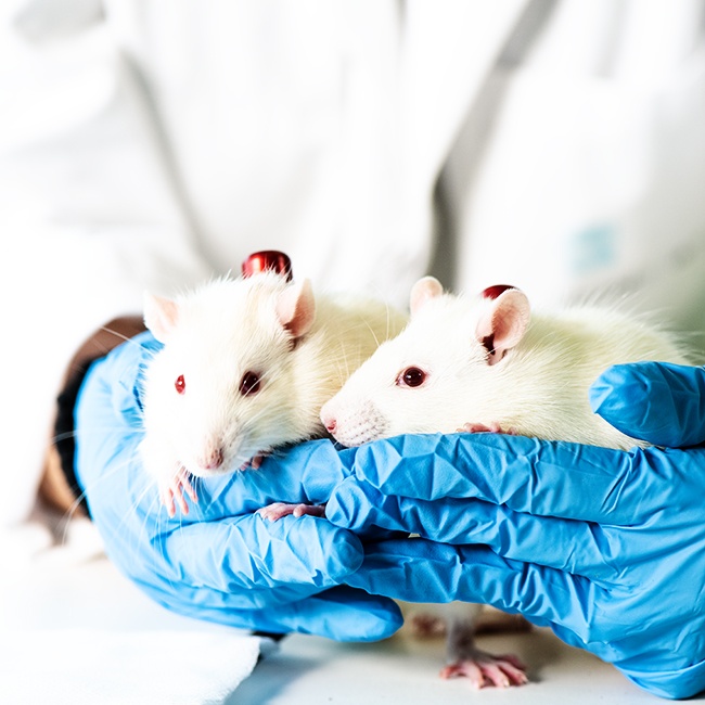 Contact Us | Contact Info for Instech Labs | Instech Laboratories