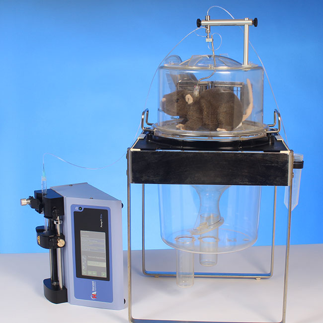 Bile Sampling from Mice & Rats | Instech Laboratories