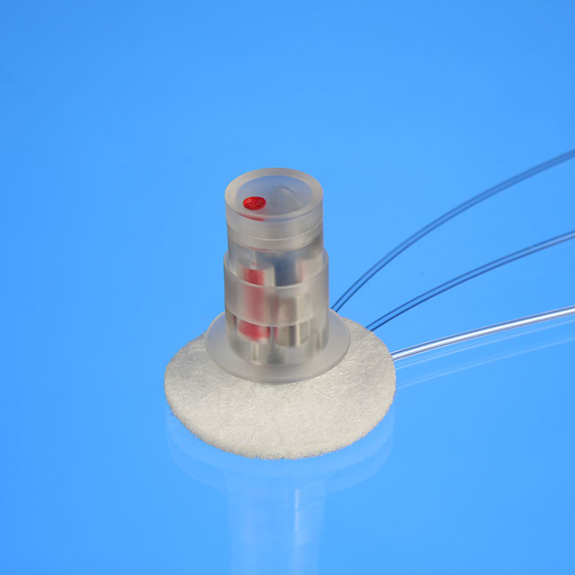 Rat Bile Sampling With Replacement Salts and Blood Sampling | Instech