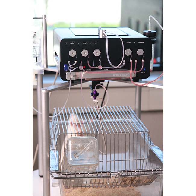 Rat Automated Blood Sampling | Blood Sampling | Instech Labs