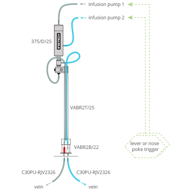 Rat IV Self Administration, Two Compounds | Instech Laboratories