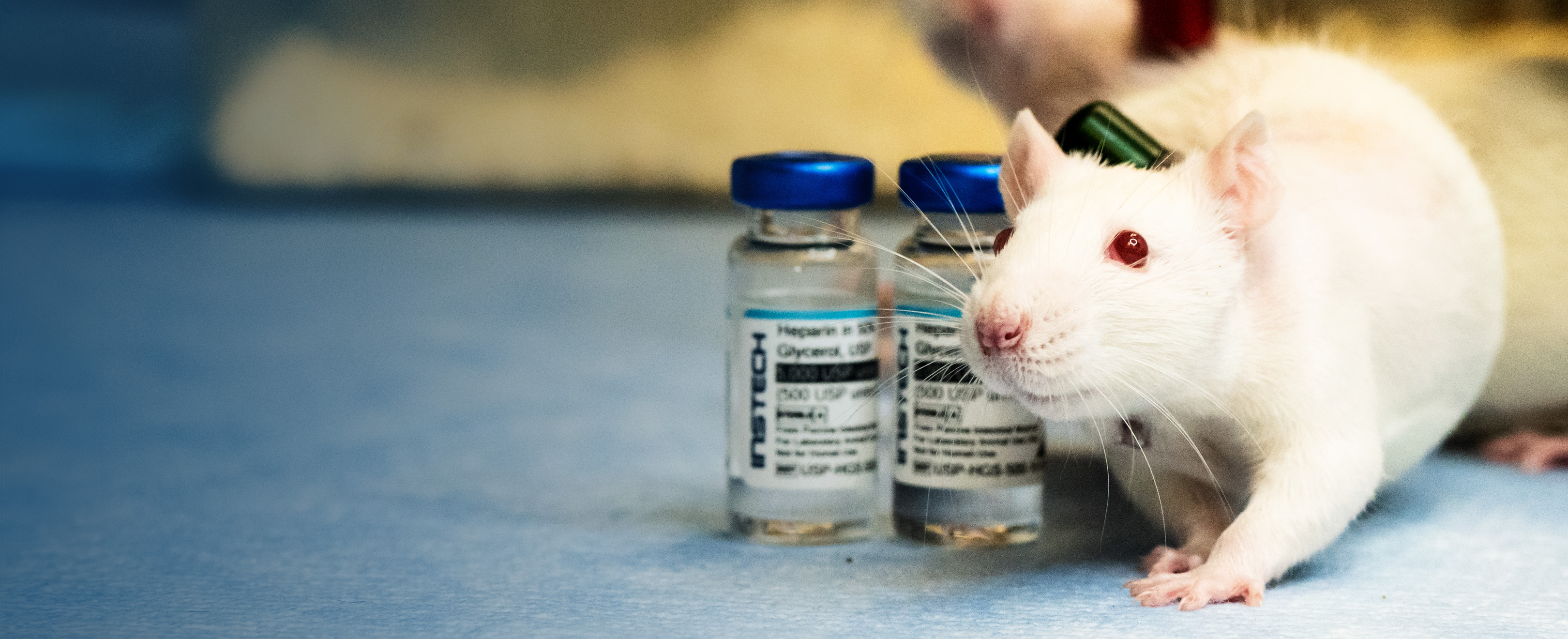 Rodent Infusion Products & Laboratory Equipment | Instech Laboratories