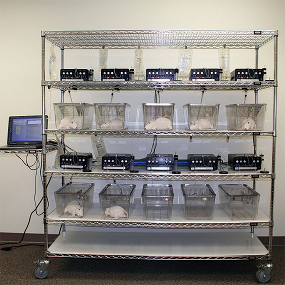 How to Build ABS Rack System