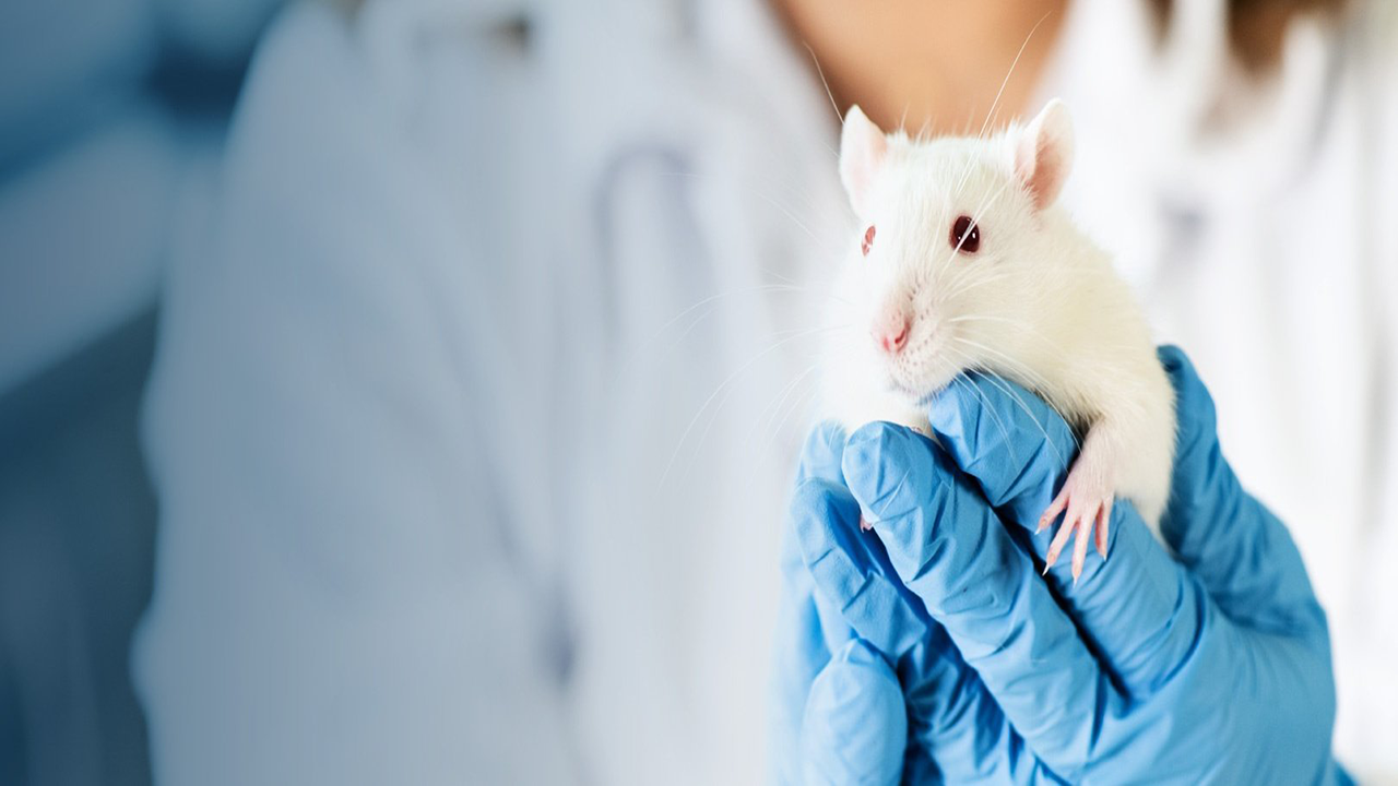 Contact Your Distributor in Australia | Instech Laboratories